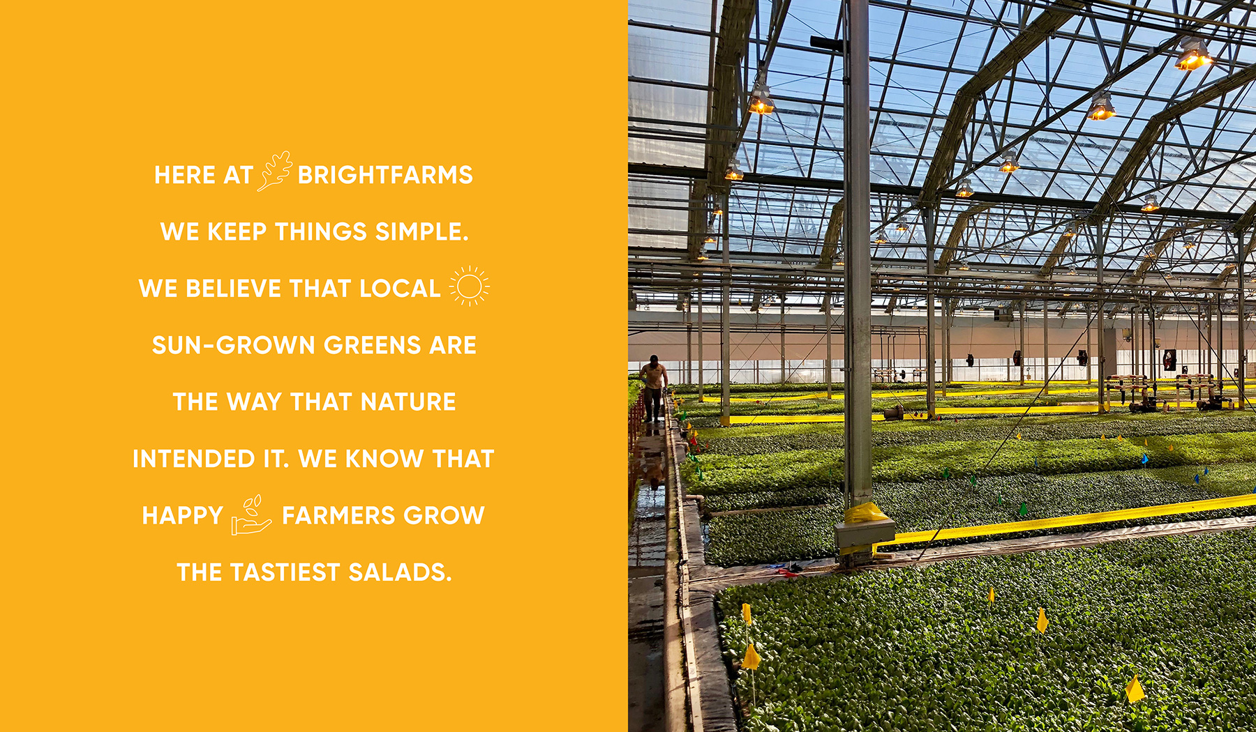 Web Design for BrightFarms Organic Farm | Aid&Abet